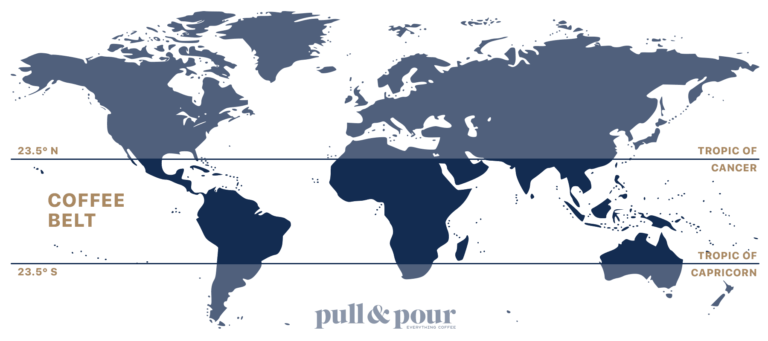 What is specialty coffee?