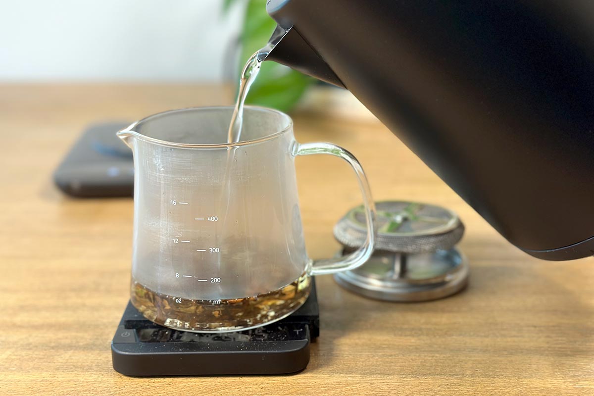 SAKI Luna Electric Kettle Review